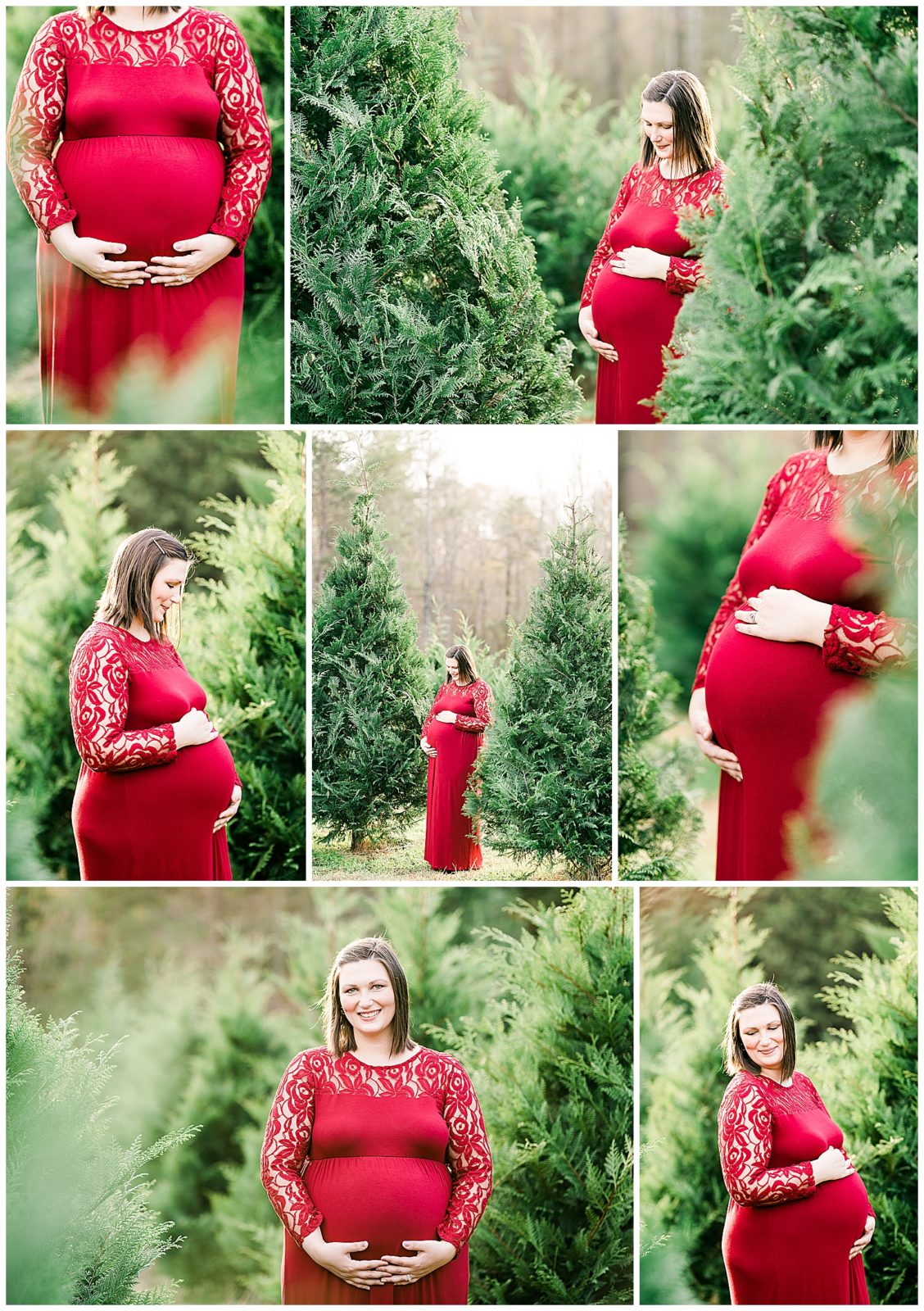 Christmas Tree Farm Maternity Session - broadriverblog.com